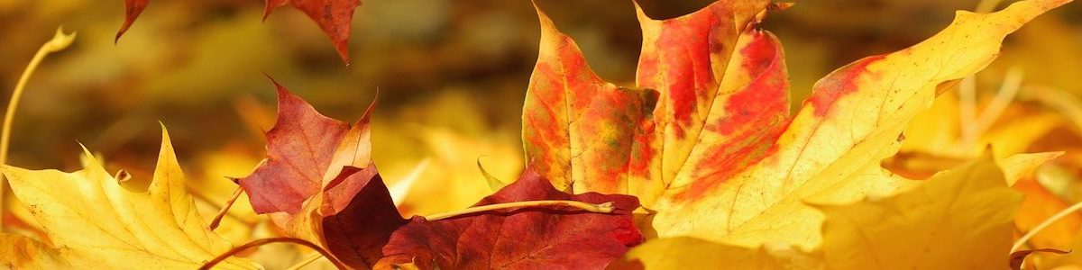 WEBINAR: Make Your Energy Purchasing Plans for Fall and Beyond ...
